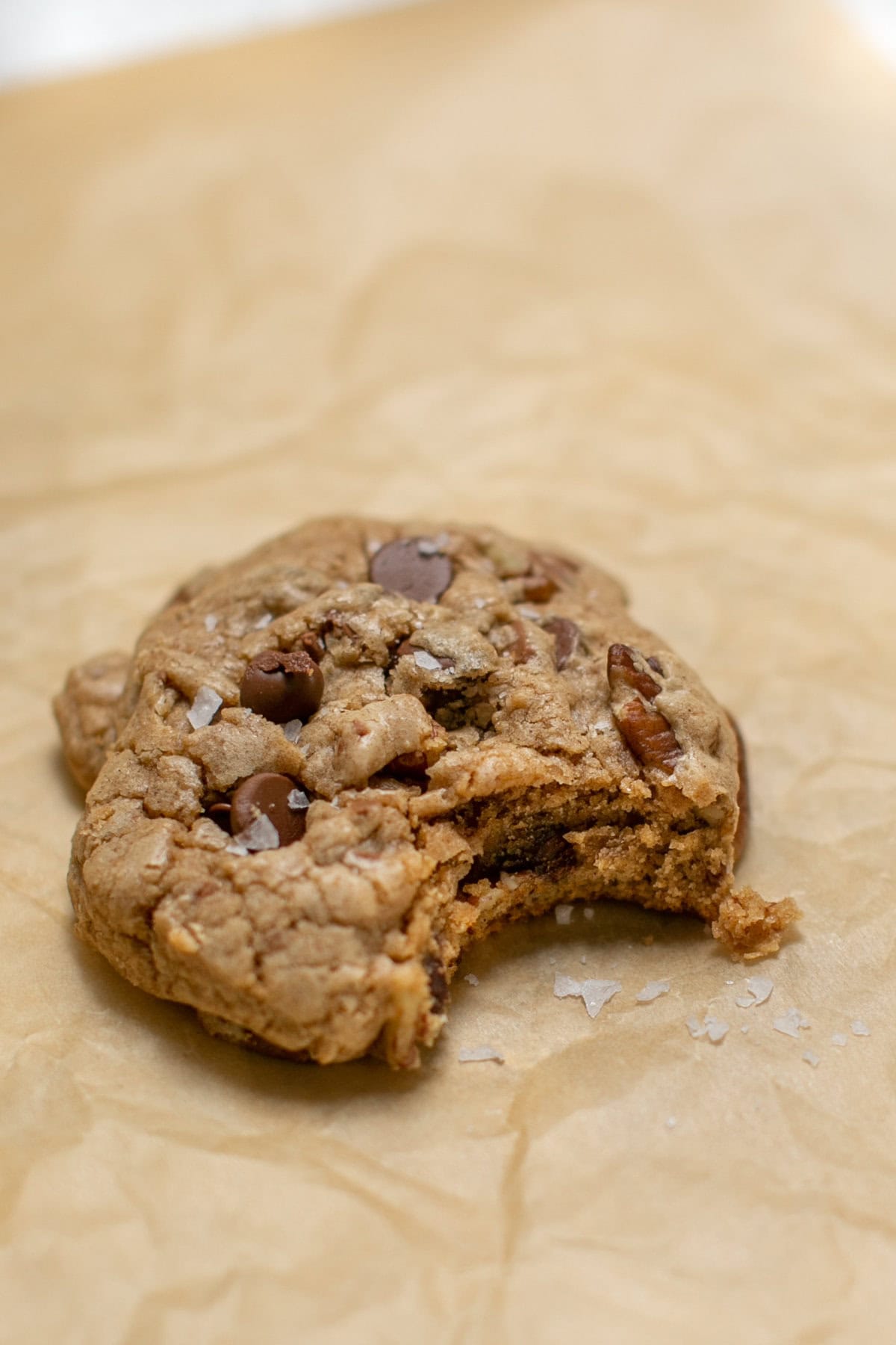 Chocolate Pecan Spice Cookies - The Little Holly That Could
